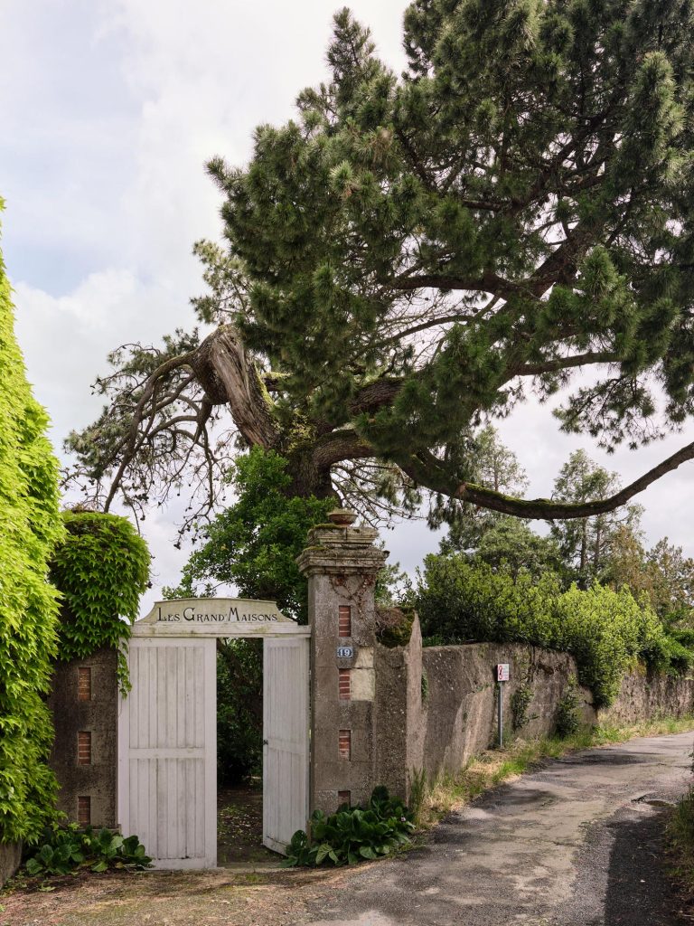 Balade à Château Thébaud dans le vignoble nantais | Le Voyage à Nantes